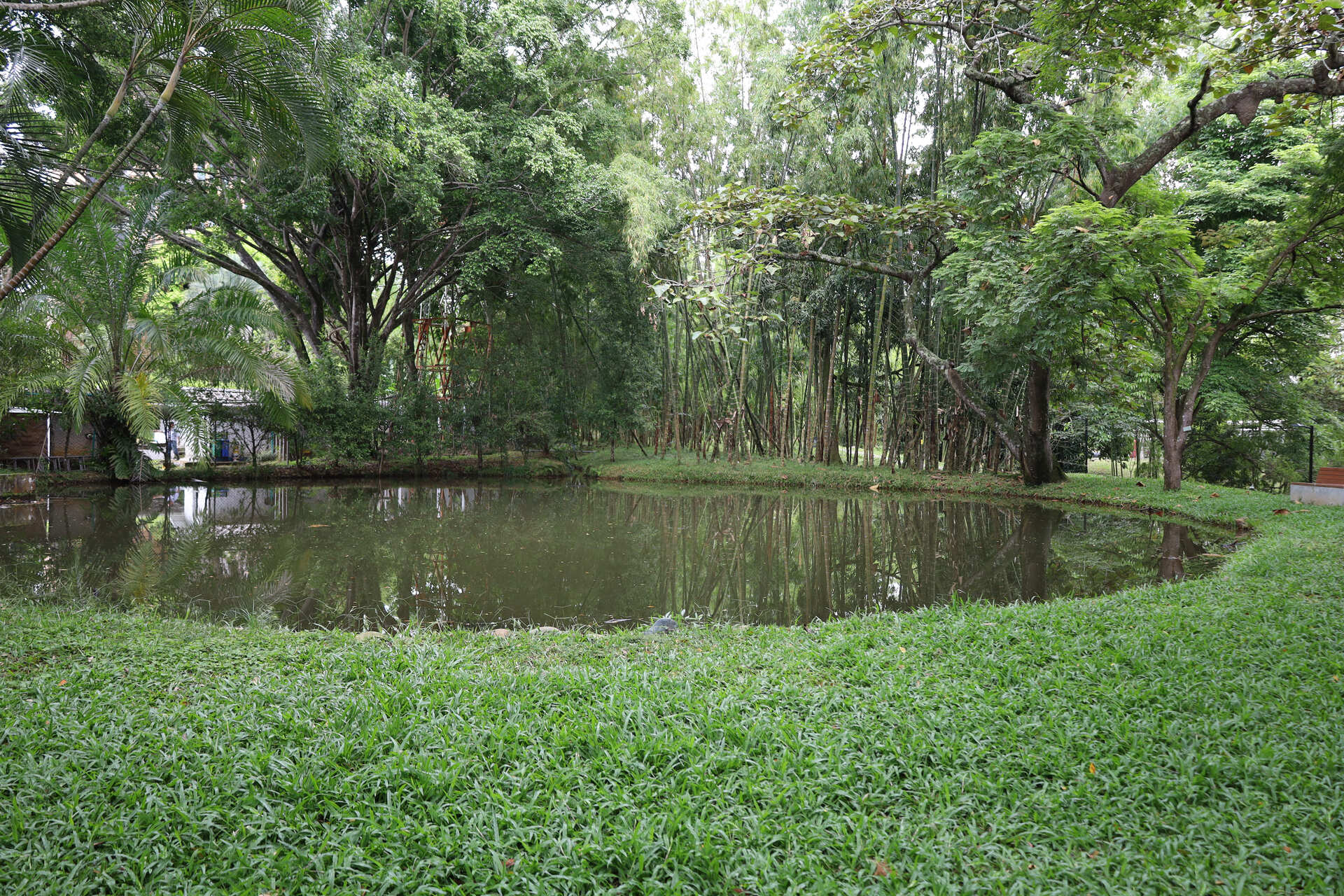 Diagrama De Humedal De Aguas Pluviales De Washington Humedales