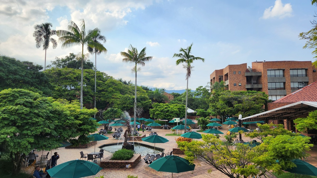 Inicio | Pontificia Universidad Javeriana, Cali